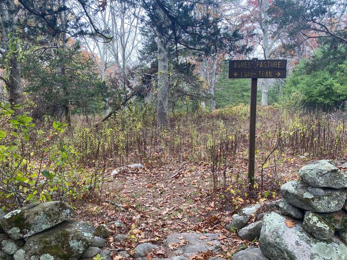 Hubbard Sanctuary & Agnes' Pasture - Connecticut Trail Finder