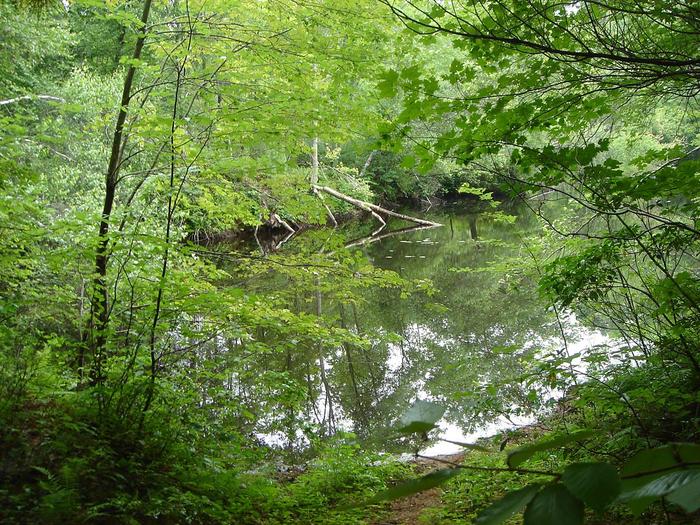 Pappenheimer Preserve - Connecticut Trail Finder