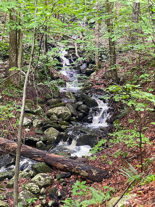 Shepaug Crossing Preserve - Connecticut Trail Finder