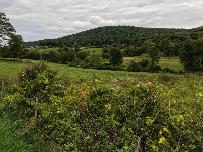 Bucksbaum Preserve - Connecticut Trail Finder