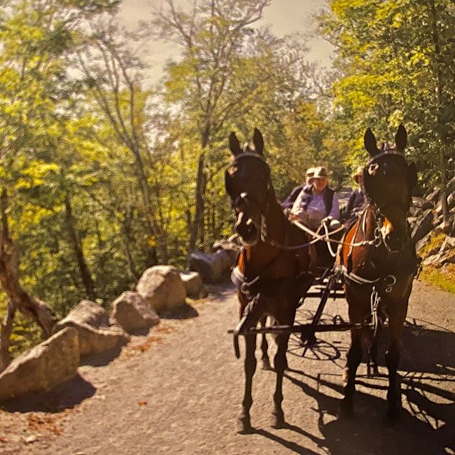 Reflections: Celebrating Mary Louise Pierson and Ann Rockefeller ...