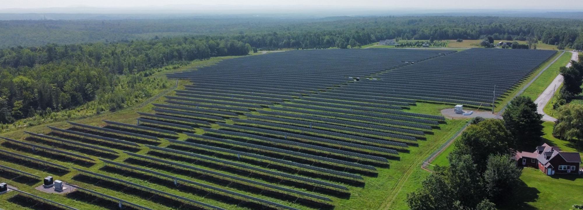 Solar Yard Maintenance