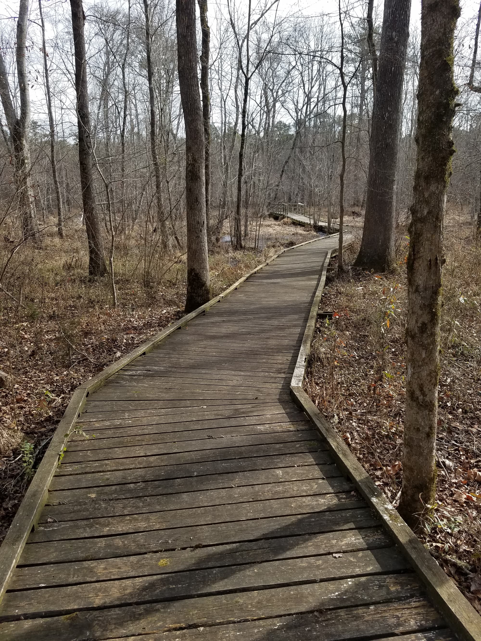 Enoree Passage - The Palmetto Trails