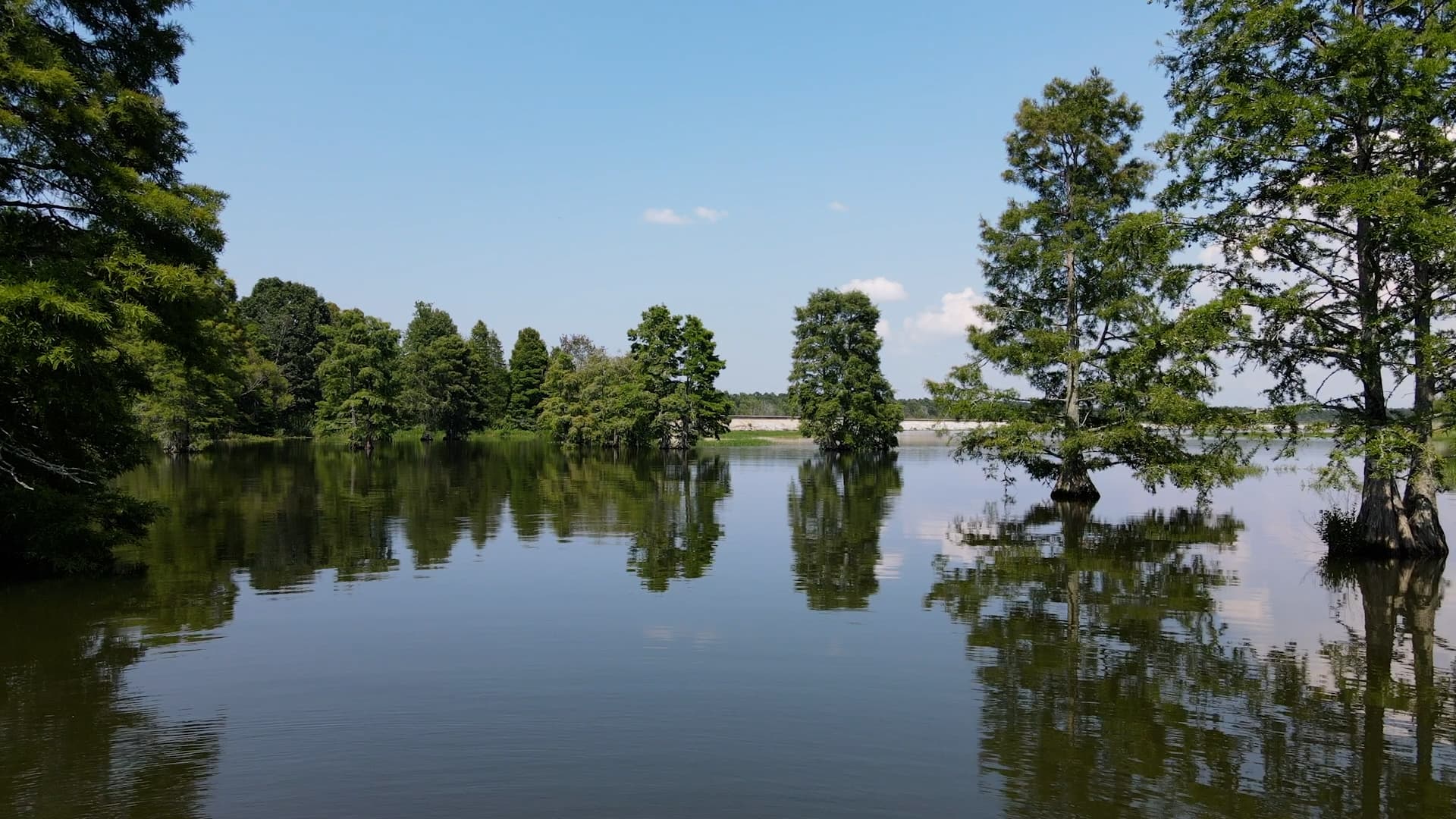 Lake Moultrie Passage - The Palmetto Trails