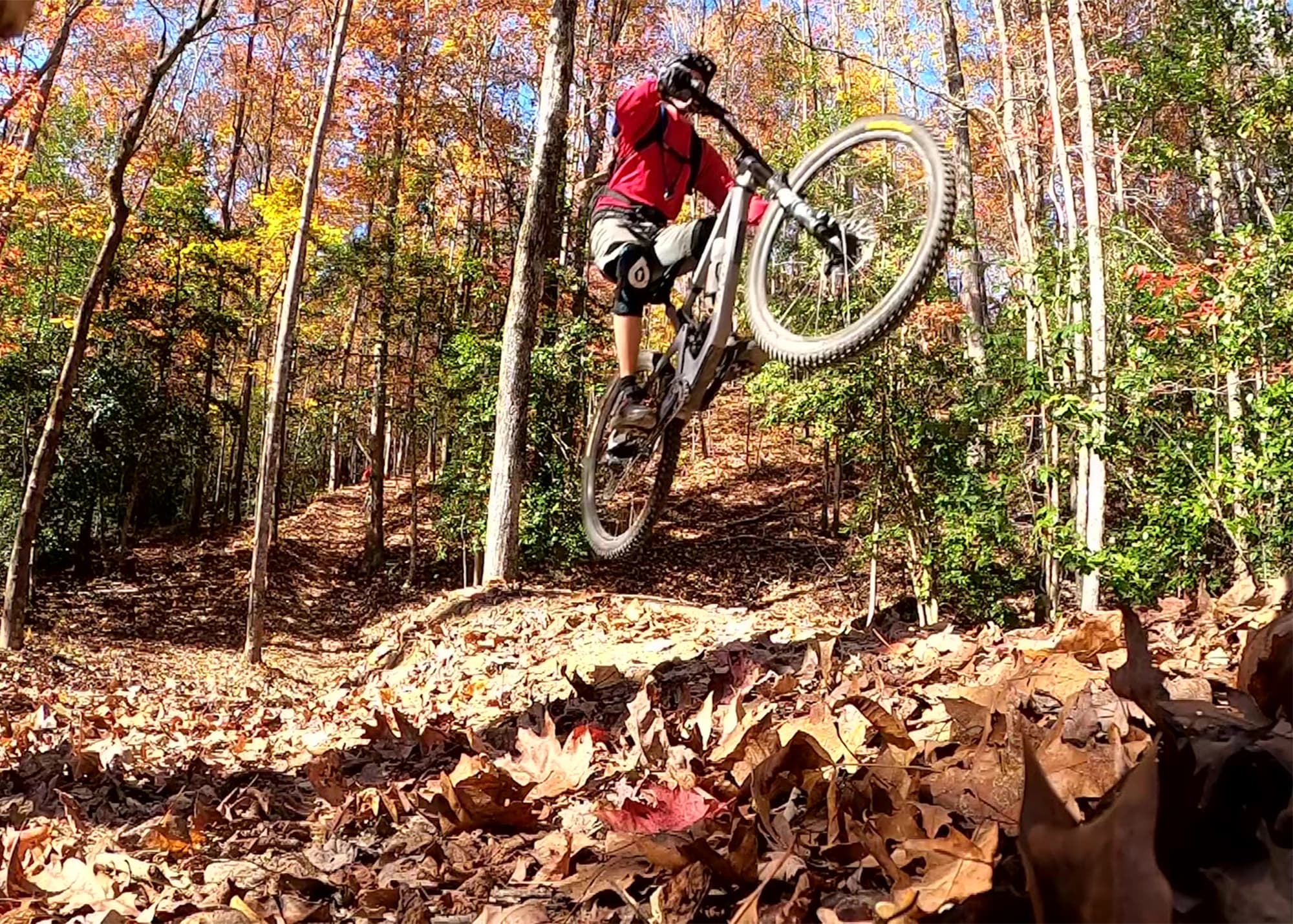 Stumphouse Passage - The Palmetto Trails