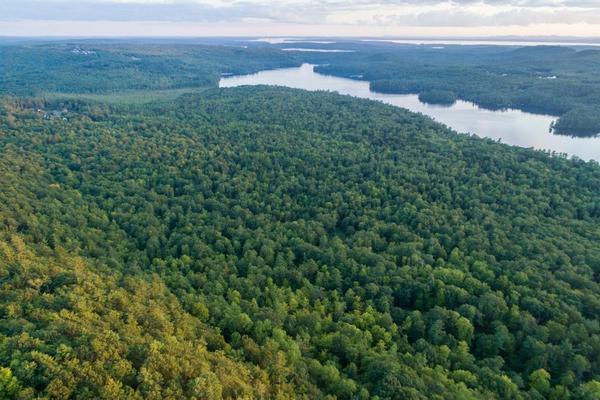 Raymond Community Forest Hike - May 26, 2021 - Maine Trail Finder