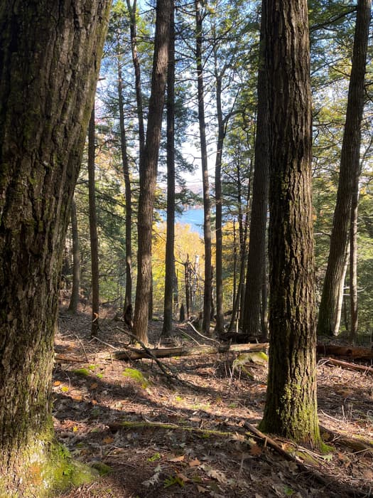 The Mountain & Quill Hill - Maine Trail Finder