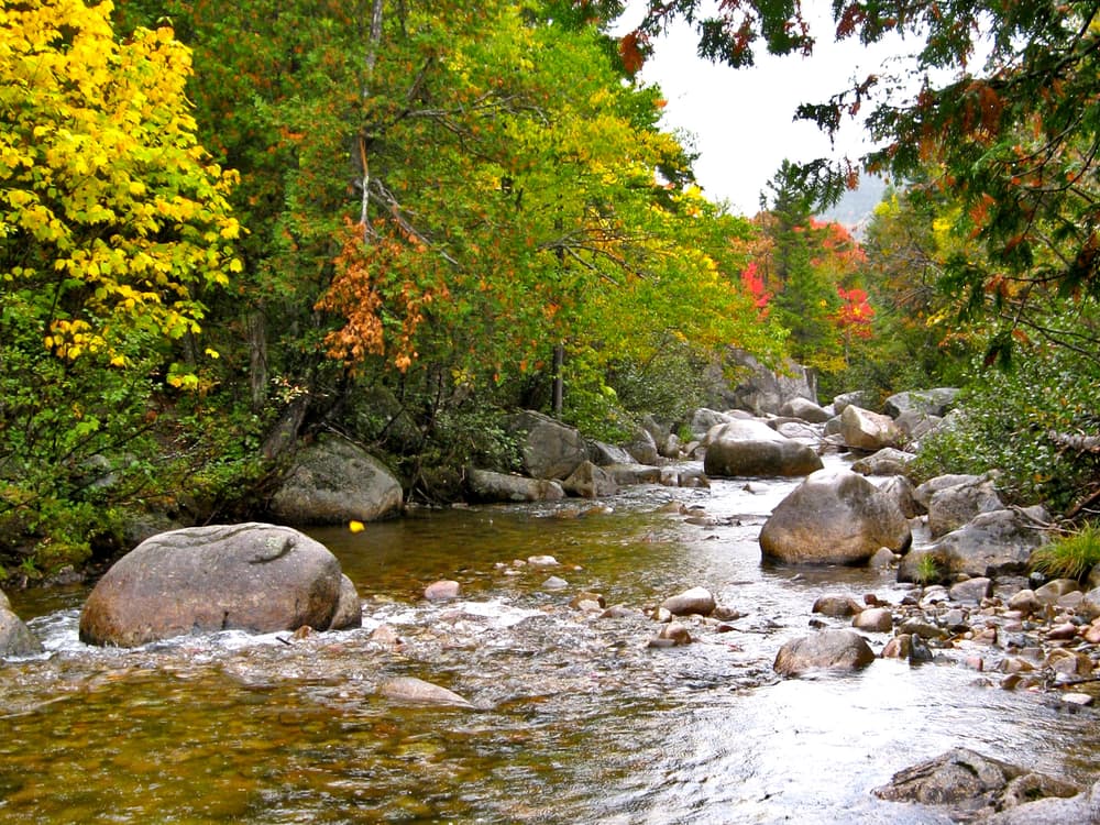 Russell Pond & Wassataquoik Stream Trails - Maine Trail Finder