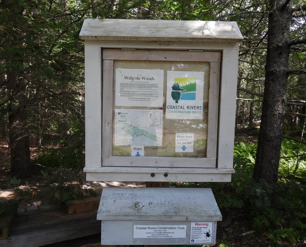 Walpole Woods - Maine Trail Finder