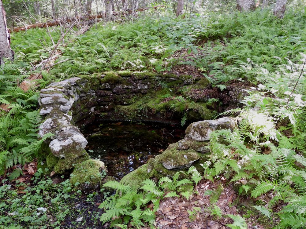 Walpole Woods - Maine Trail Finder