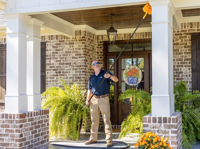 Residential Pest Control | Pest Treatments & Prevention