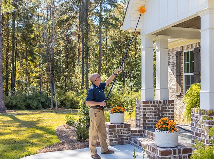 Residential Pest Control | Pest Treatments & Prevention