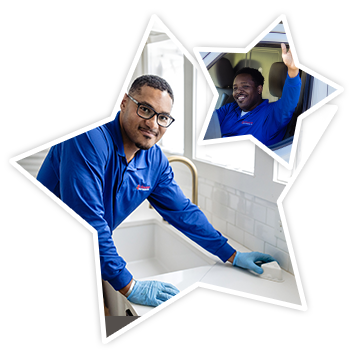 Franklin TN Pest Control | All-American Pest Control