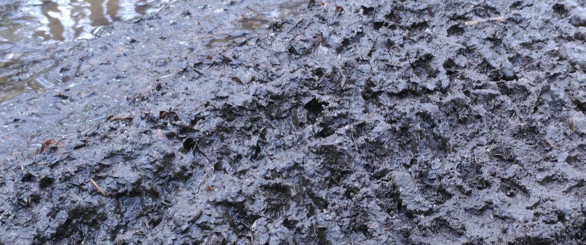 Vermont Mud Season