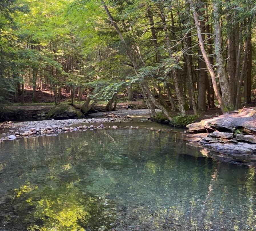 Cutler Memorial Forest - Trail Finder