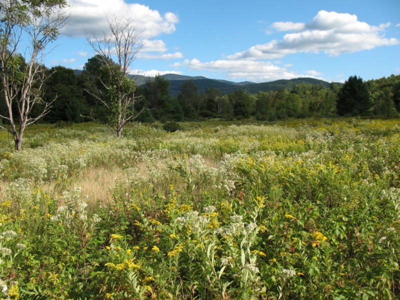Dumont Meadow - Trail Finder