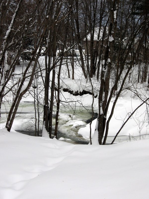 Old Red Mill Park - Trail Finder