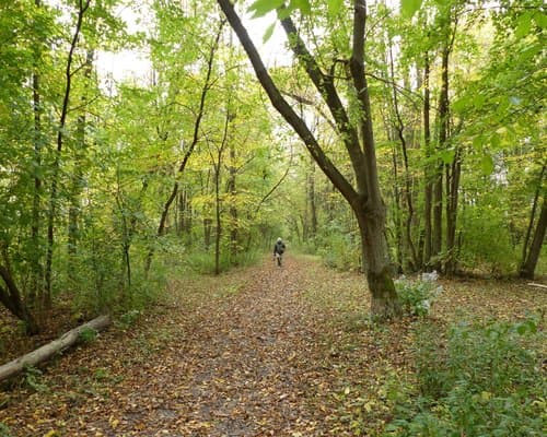 Roy Marsh Trail - Trail Finder