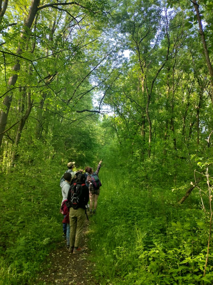 Roy Marsh Trail - Trail Finder